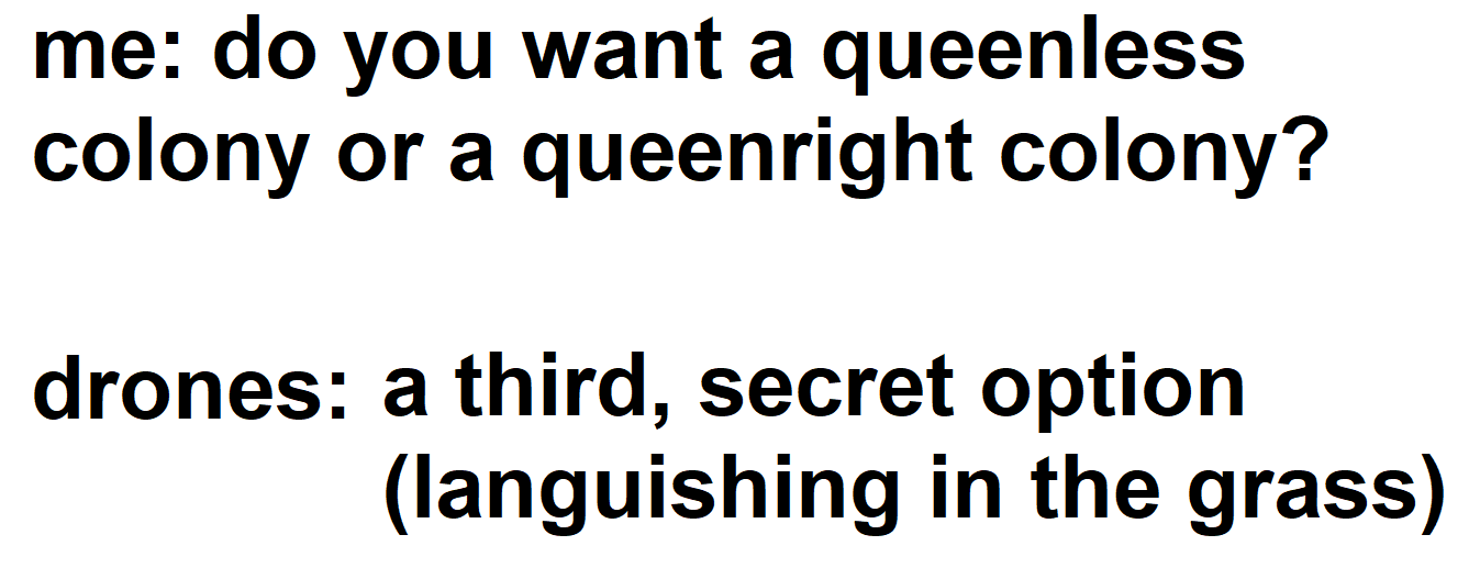 silly little jokes – stop drone bullying!