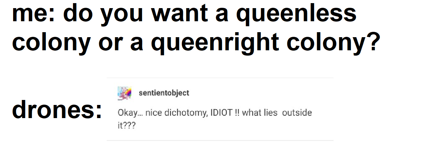 silly little jokes – stop drone bullying!